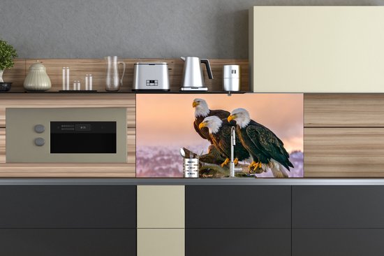 Keuken achterwand behang - Waterafstotend - Vogels - Natuur ...