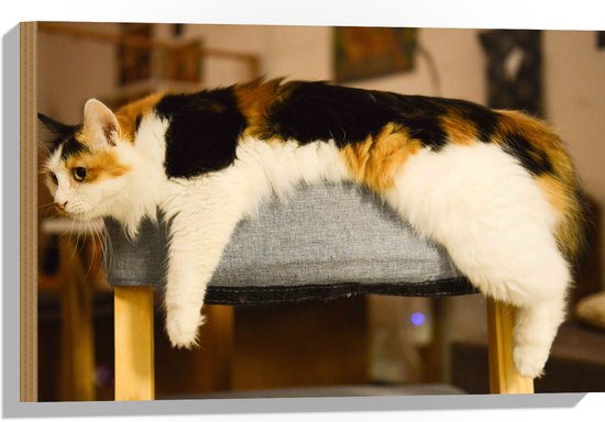 WallClassics - Hout - Bruin/Zwart Gevlekte Kat uitgestrekt over Poef ...