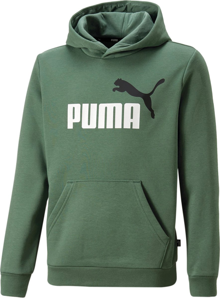 PUMA ESS+ 2 Col Big Logo Hoodie FL B | bol.com