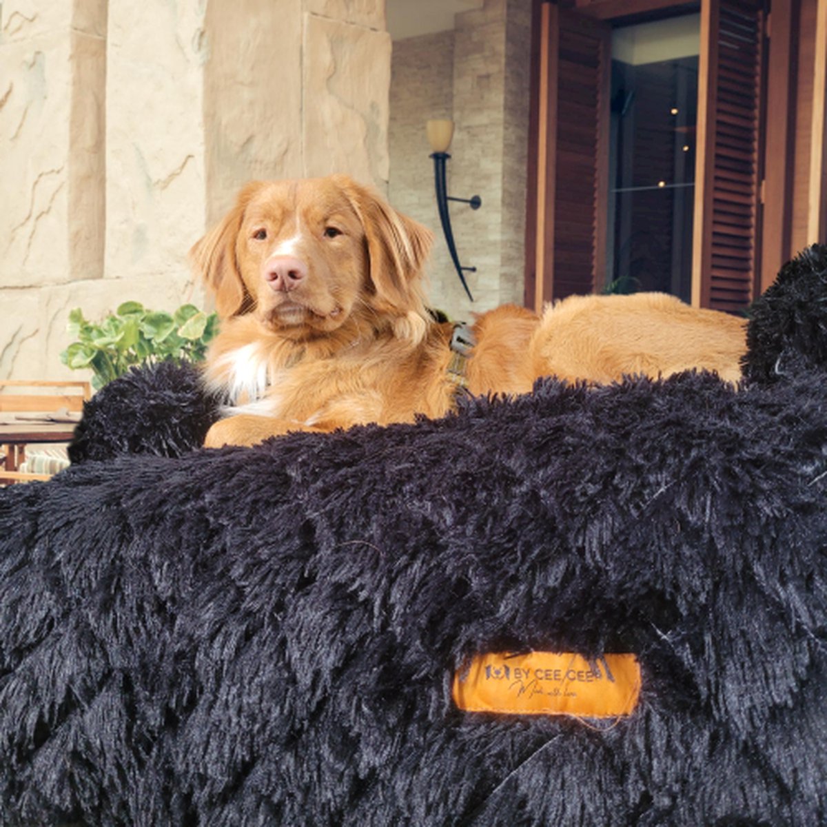 Lit pour chien pour canapé - Couverture pour chien Fluffy - Lit pour ...