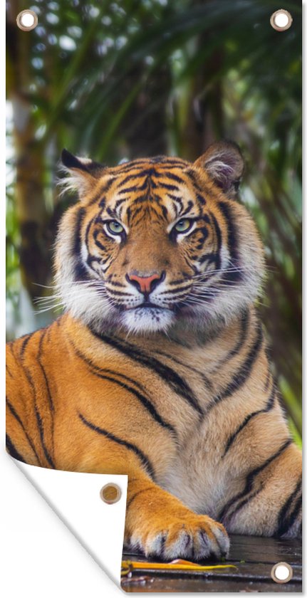 Tuinposter Tijger - Dieren - Bos - Bladeren - Jungle - 30x60 cm - Tuindoek - Buitenposter | bol