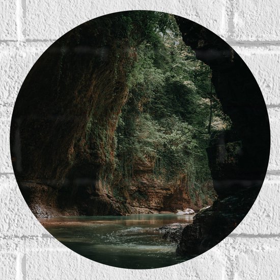WallClassics - Muursticker Cirkel - Hoge Grot met Begroeiing - 30x30 cm ...