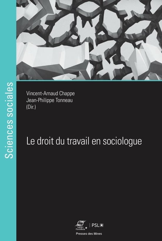 Sciences sociales - Le droit du travail en sociologue (ebook ...