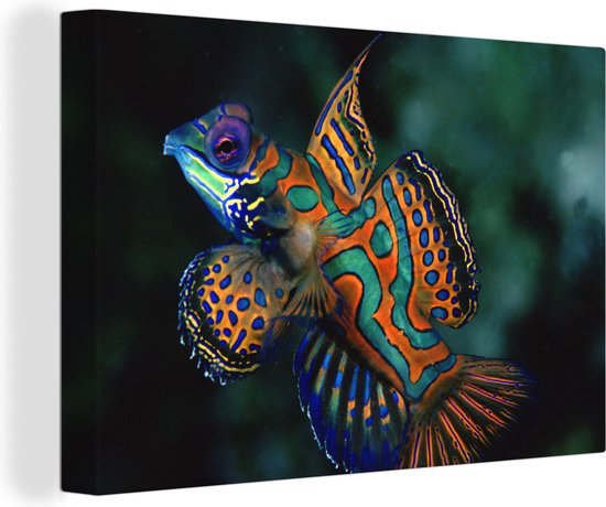 Canvas Schilderij Vis - Zee - Oranje - 60x40 cm - Wanddecoratie | bol