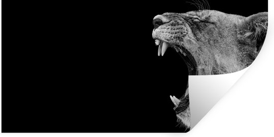Muurstickers - Sticker Folie - Dieren - Leeuw - Zwart - Wit - Portret - 80x40 cm -... | bol