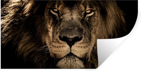 Muurstickers - Sticker Folie - Leeuw - Dieren - Zwart - Portret - 80x40 cm - Plakfolie... | bol