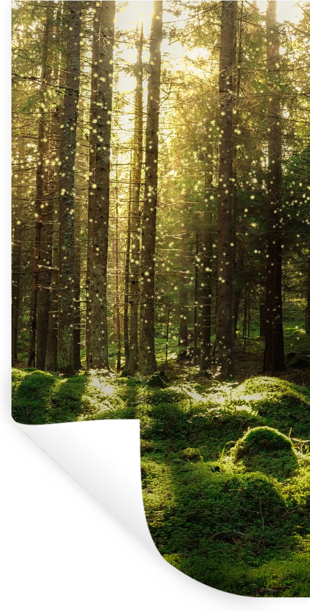 Stickers muraux - Feuille Autocollant - Arbres - Forêt - Mousse ...