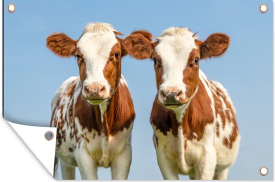 Décoration murale Vaches - Ciel - Animaux - Ferme - Portrait - 180x120 ...