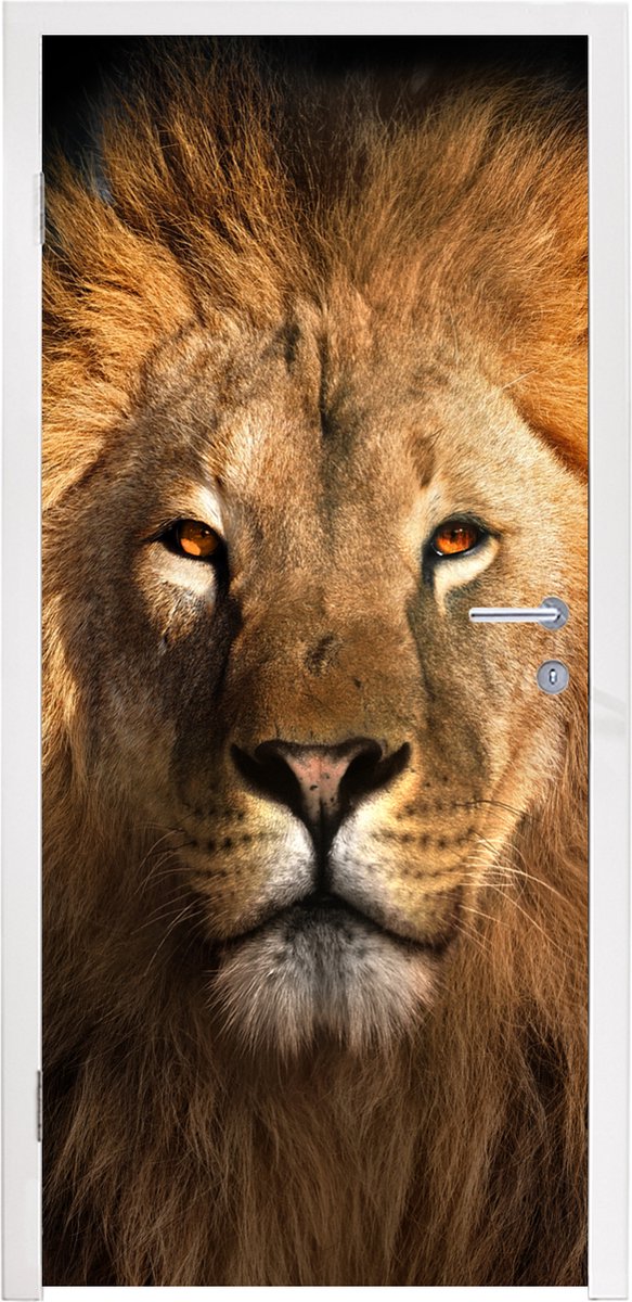 Deursticker Leeuw - Dieren - Zwart - Licht - Bruin - Portret - 85x205 cm - Deurposter | bol.com