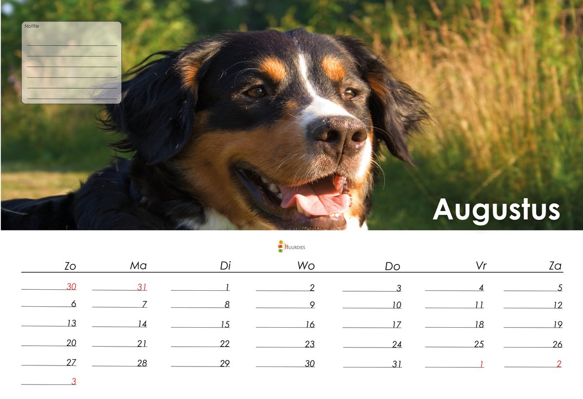 Berner Sennenhond kalender 2023 | 35x24 cm | jaarkalender 2023 ...