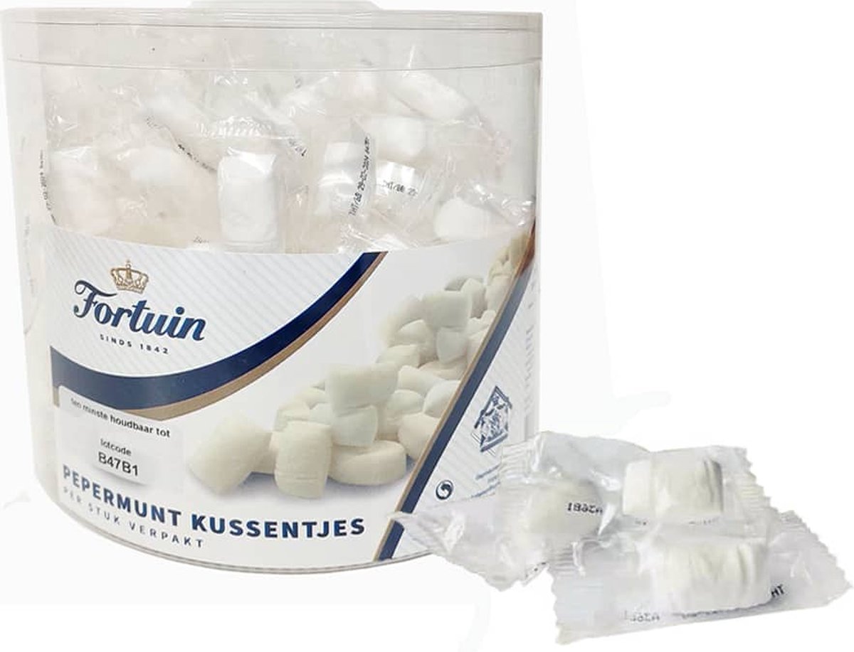 Fortuin Pepermuntkussentjes - 140 stuks | bol.com