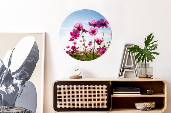 WallCircle - Muurstickers - Behangcirkel - Bloemen - Roze - Cosmea - 50x50 cm -... | bol.com