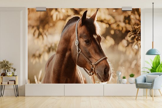 Behang kinderkamer - Fotobehang Paard - Zon - Portret - Natuur - Bruin ...