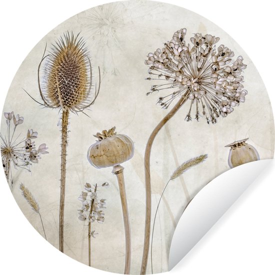 WallCircle - Muurstickers - Behangcirkel - Bloemen - Waterverf - Stilleven - Bruin -... | bol