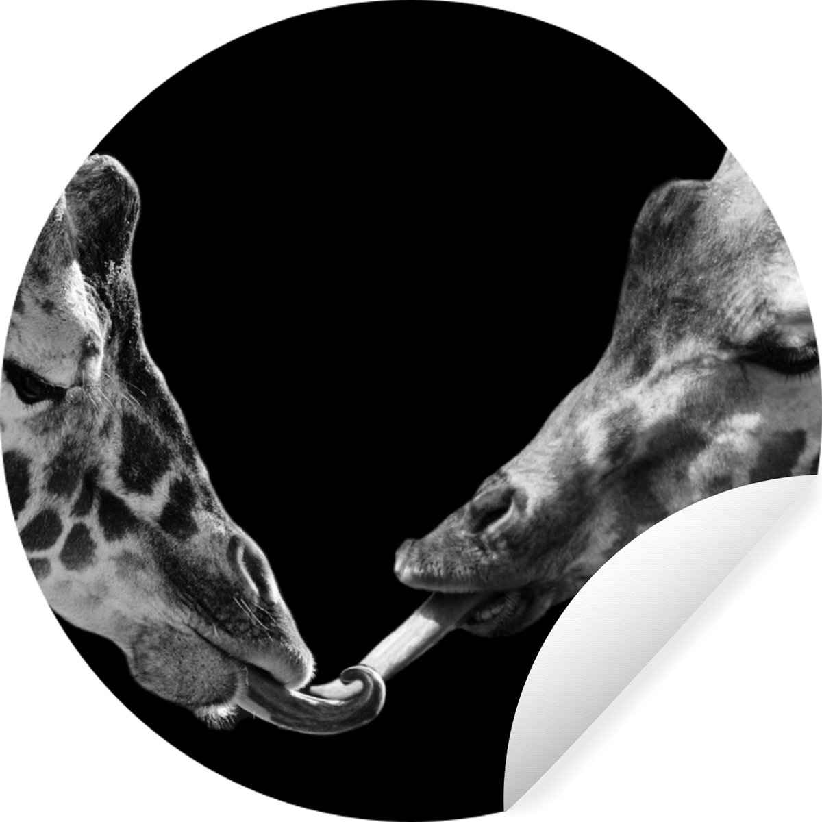 Behangcirkel - Zelfklevend behang - Wilde dieren - Giraffe - Familie - Zwart - Wit -... | bol