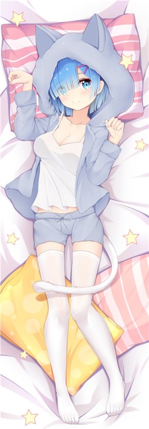 Anime Body Pillow Waifu Case Dakimakura Kussen Hoes Ram & Rem Re Zero ...