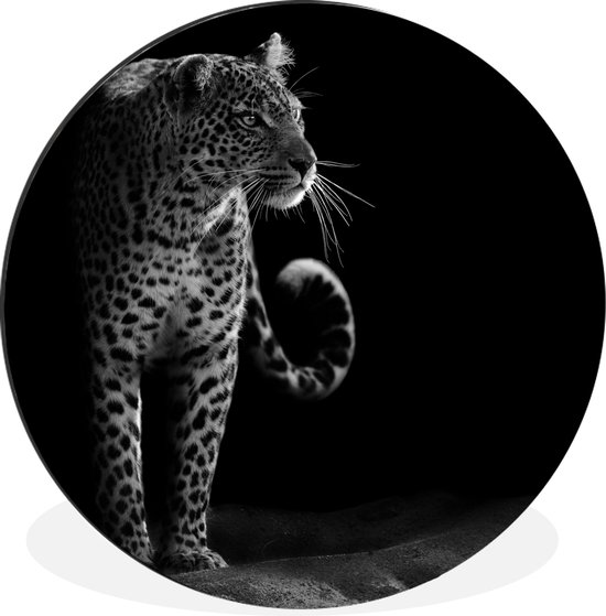 WallCircle - Wandcirkel - Muurcirkel - Wilde dieren - Luipaard - Natuur - Zwart - Wit... | bol