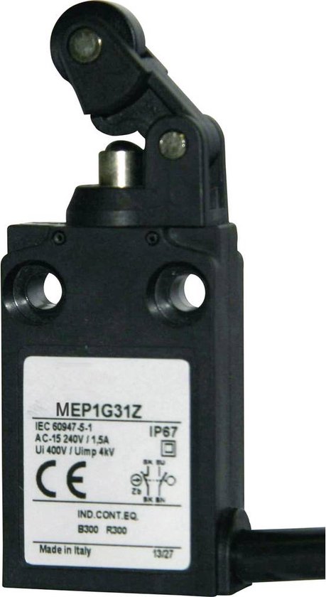 Panasonic MEP1G31Z MEP1G31Z Eindschakelaar 24 V 5 A Rolhendel IP67 1 ...