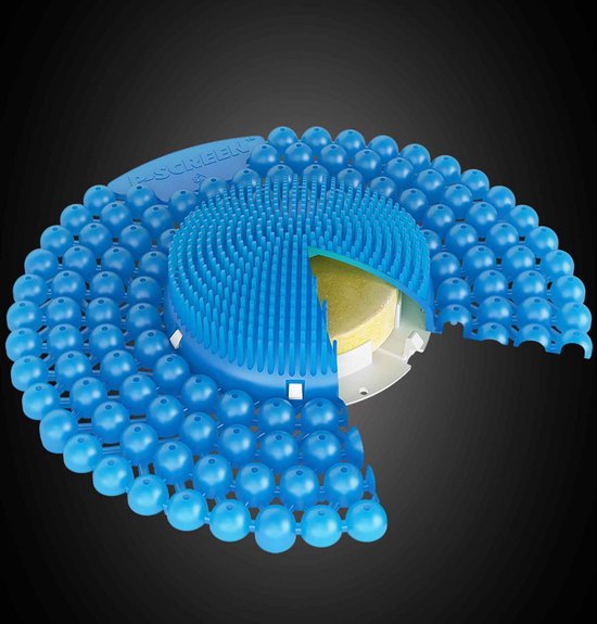 P-Screen Citrus Mango (6 Stuks) | bol.com