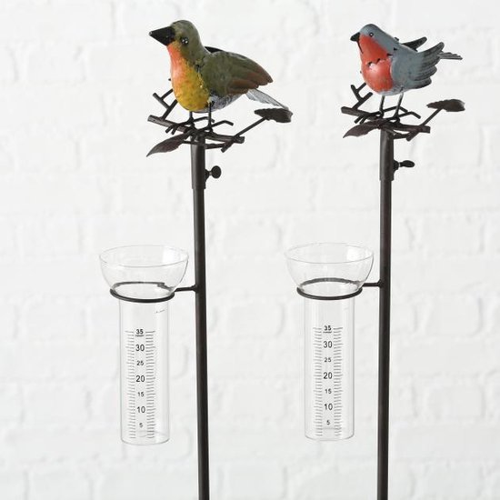 Regenmeter Ruby met vogel | bol