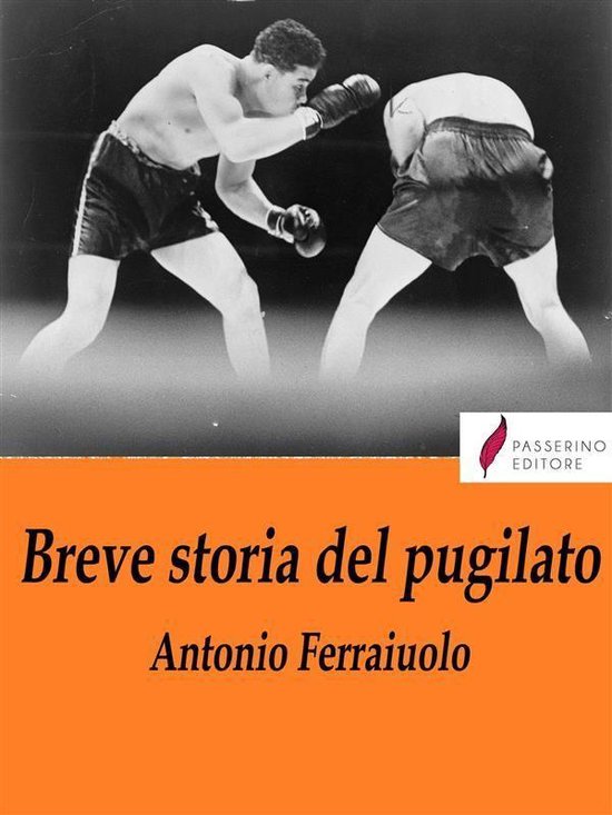 Breve storia del pugilato (ebook), Antonio Ferraiuolo | 9788835833055 ...