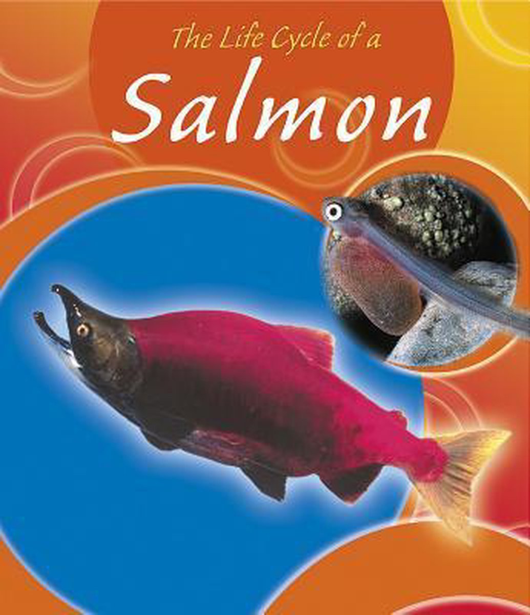 The Life Cycle of a Salmon | 9780736833974 | Lisa Trumbauer | Boeken ...
