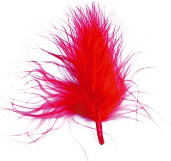 Pluim - Rood | bol.com