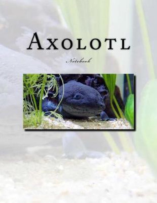 Axolotl Notebook | bol.com