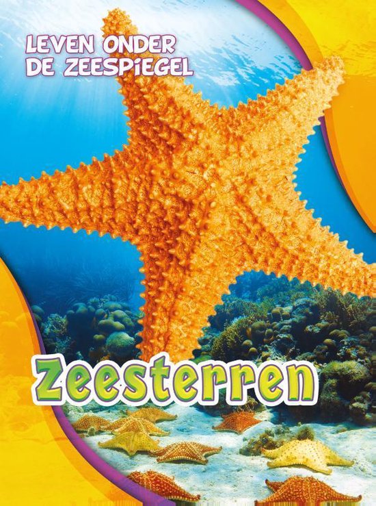 Leven onder de zeespiegel - Zeesterren, Rebecca Pettiford ...