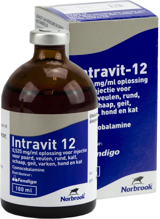 Intravit-12 REG NL 2998 | bol.com
