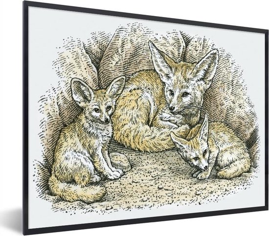 Fotolijst incl. Poster - tekening van een fennek en haar jongen - 80x60 cm - Posterlijst | bol.com
