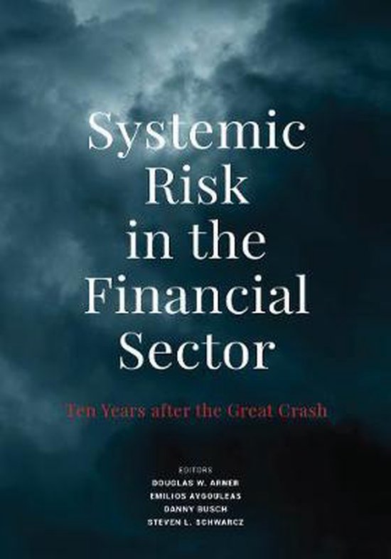 Systemic Risk in the Financial Sector | 9781928096894 | Boeken | bol.com