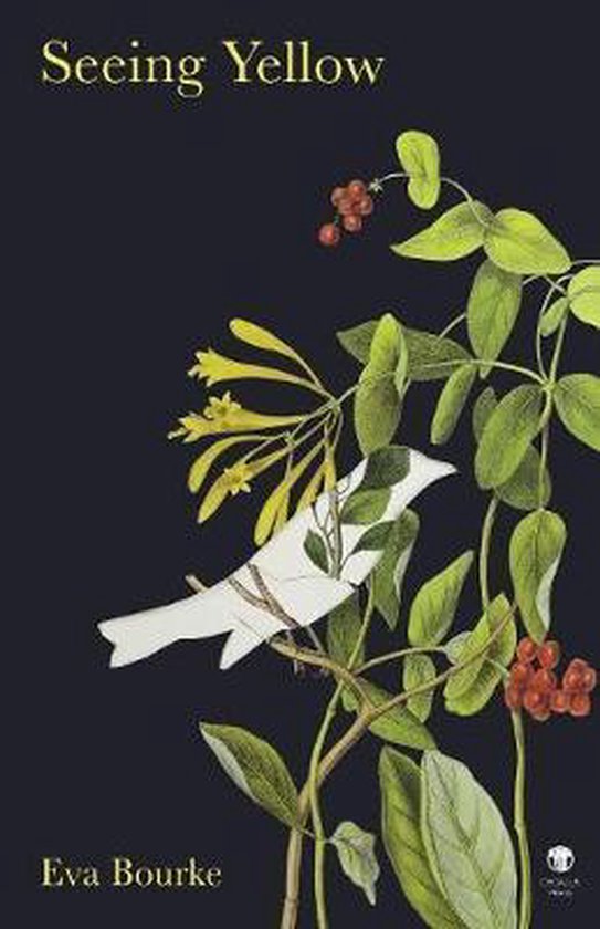 Seeing Yellow, Eva Bourke | 9781910251379 | Boeken | bol