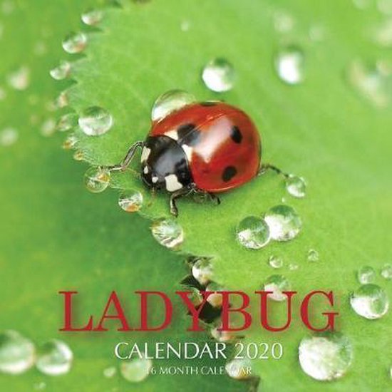 Lady Bug Calendar 2020: 16 Month Calendar, Golden Print | 9781695225862 ...