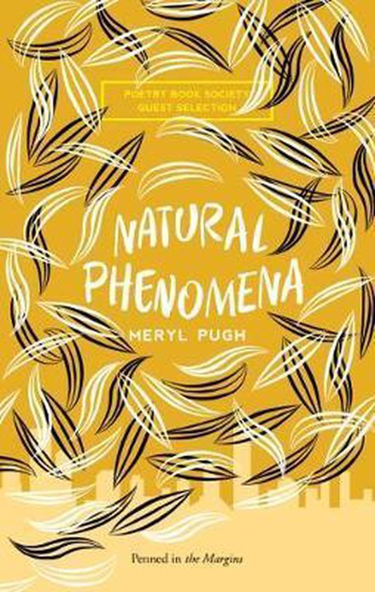 Natural Phenomena, Pugh, Meryl | 9781908058508 | Boeken | bol.com