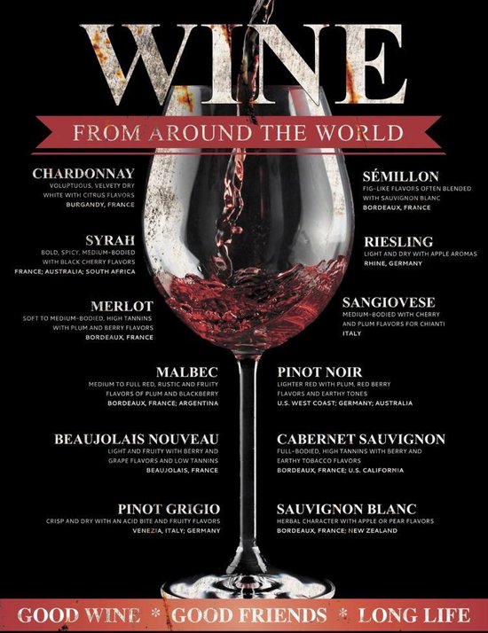 Signs-USA - Wine Around the World - Wandbord - 33 x 44 cm | bol