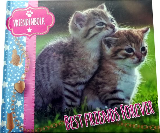 Vriendenboekje - Kittens - Best Friends Forever | bol
