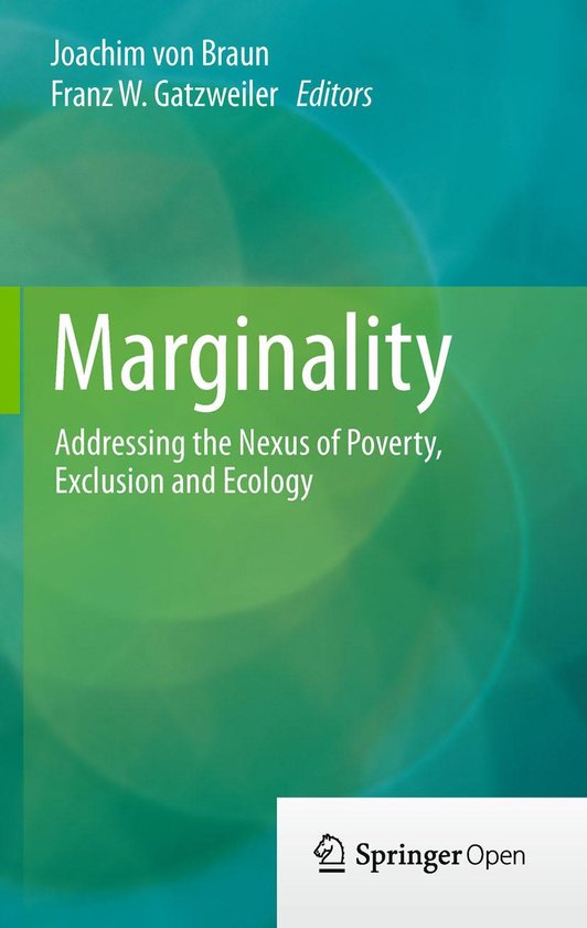 Marginality (ebook) | 9789400770614 | Boeken | bol.com