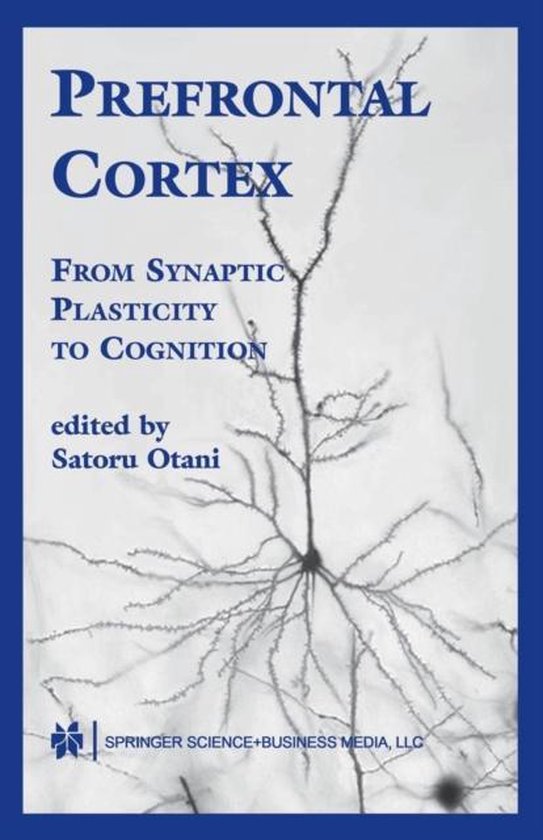 Prefrontal Cortex | 9781441954350 | Satoru Otani | Boeken | bol