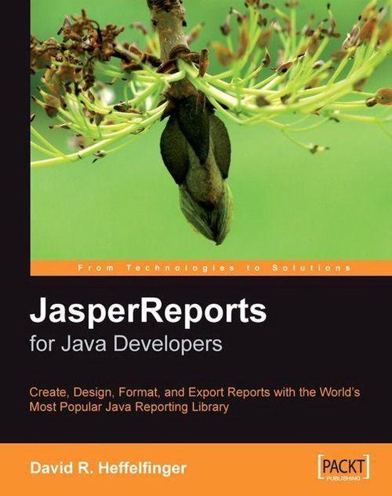 JasperReports for Java Developers (ebook), David R. Heffelfinger | 9781847190734 | Livres | bol