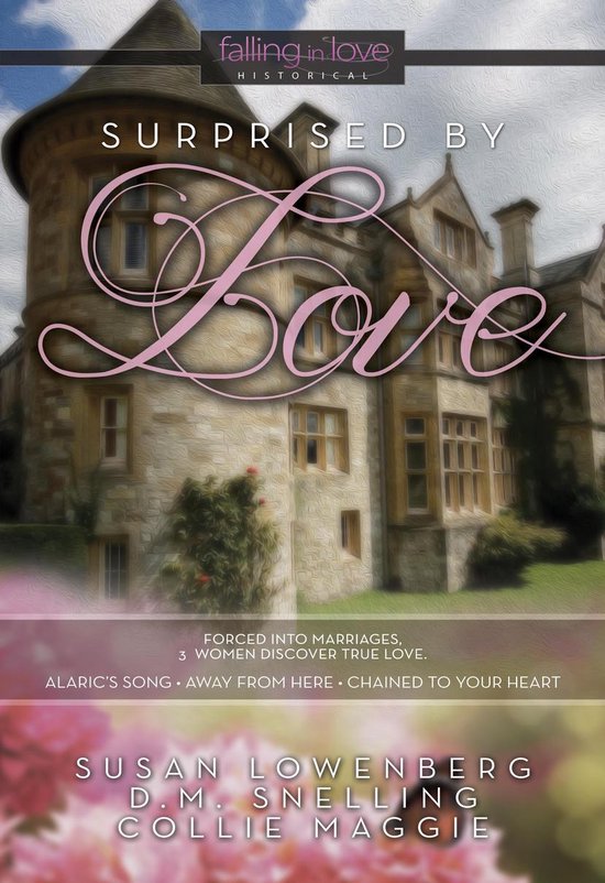 Surprised by Love (ebook), Susan Lowenberg | 9781424599110 | Boeken ...