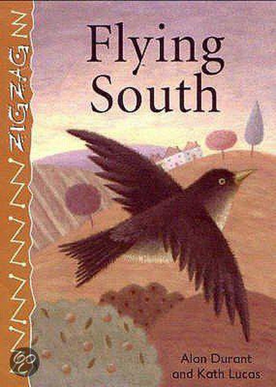 Flying South, Alan Durant | 9780237529468 | Boeken | bol.com