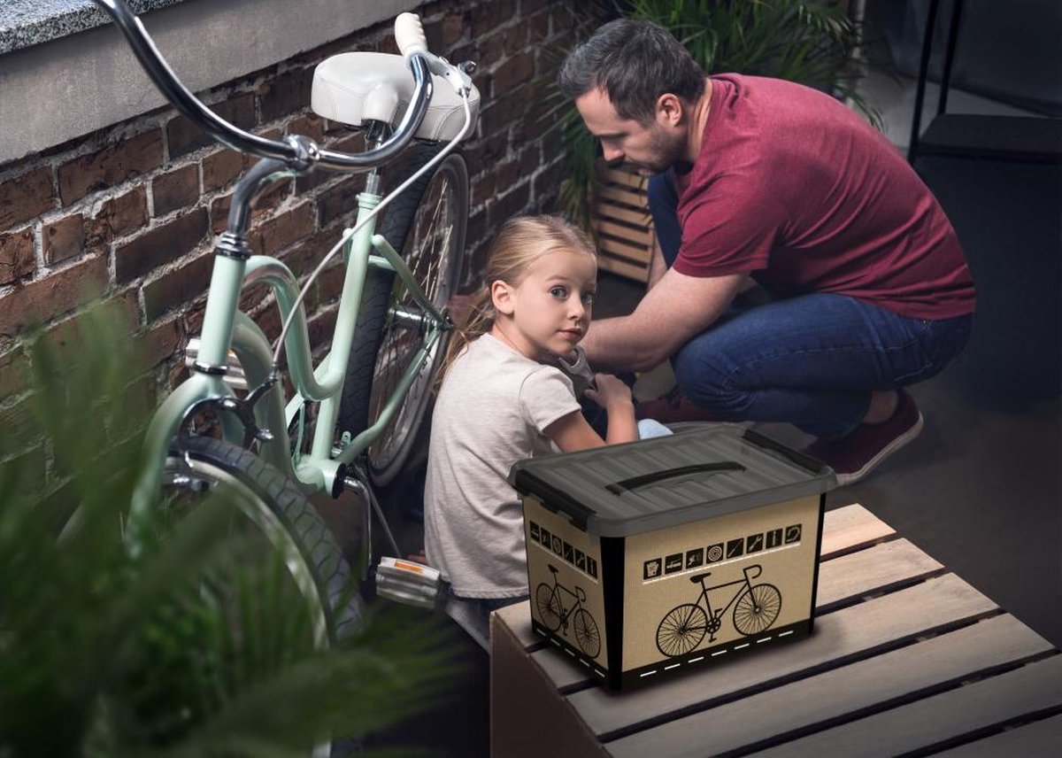Sunware - Q-line fietsbox met inzet 22L zwart - 40 x 30 x 26 cm | bol.com