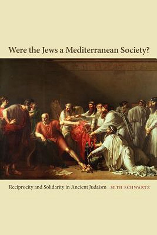 Were the Jews a Mediterranean Society? | 9780691155432 | Seth Schwartz ...
