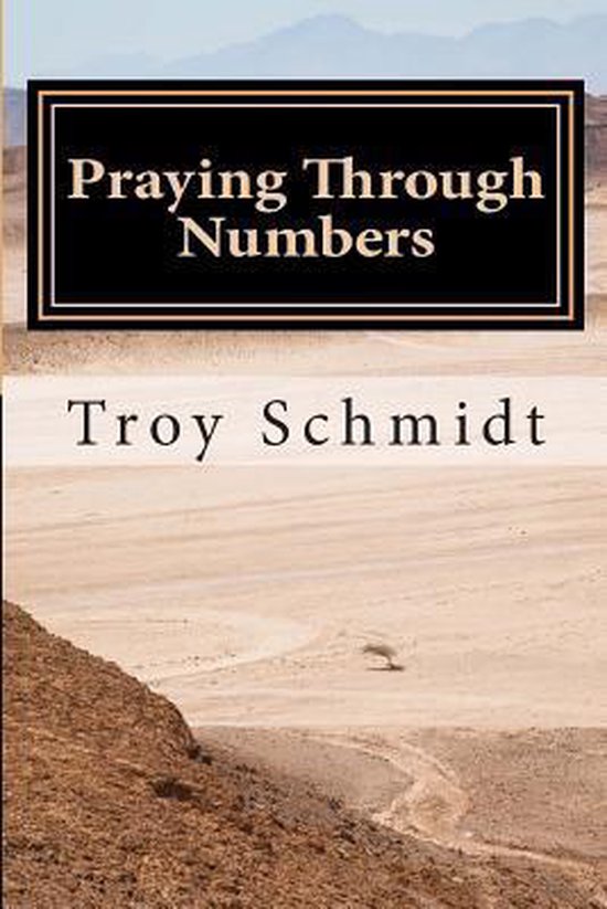 Praying Through Numbers | 9781497491021 | Troy Schmidt | Boeken | bol.com