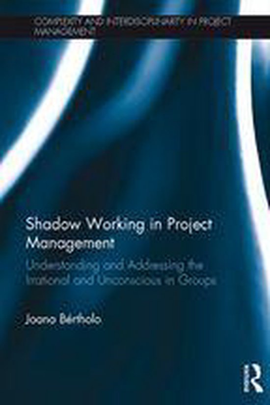 Complexity and Interdisciplinarity in Project Management - Shadow ...
