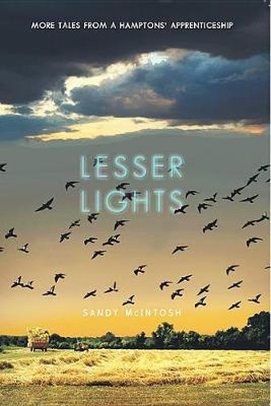 Lesser Lights: More Tales from a Hamptons' Apprenticeship, Sandy ...