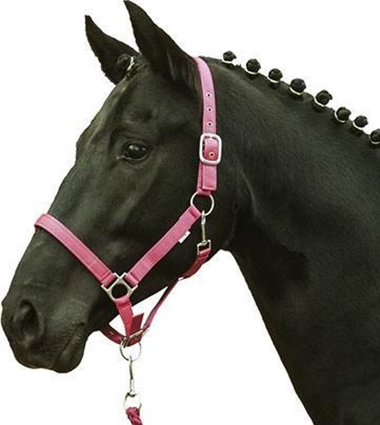 Halster -Stars Softice- roze - xfull ( koudbloed) | bol