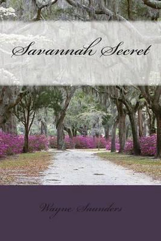 Savannah Secret - Thriller over een rechter en detective inbraken in ...