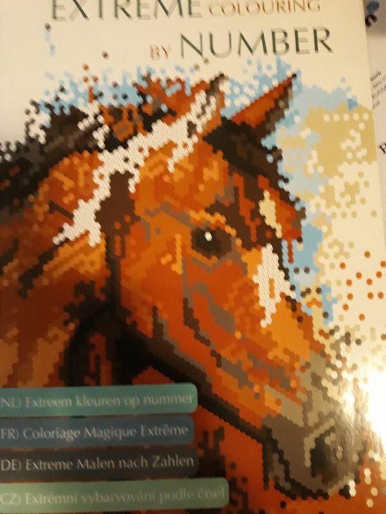 Kleurboek - Extreme colouring by number/ paard | Games | bol